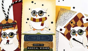 Harry Potter Themed Cards